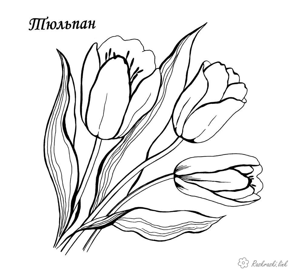 Plants Free Coloring Pages Online Print 